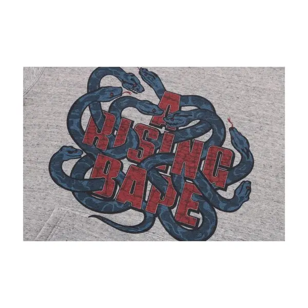 A BATHING APE Year Of Snake Hoodie - Grey