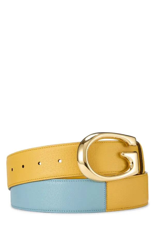 Gucci Multicolor G Memorable Buckle Belt 100 - Multi