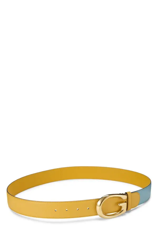 Gucci Multicolor G Memorable Buckle Belt 100