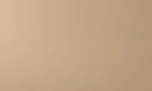 ZONE DENMARK Ume Small Laundry Basket