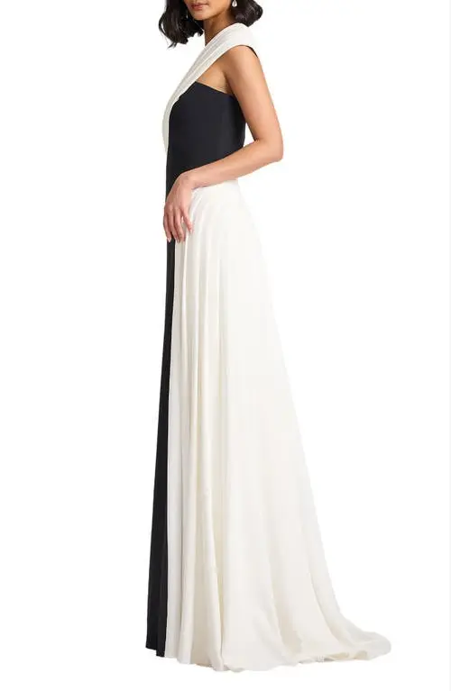 Tadashi Shoji One-shoulder Colorblock Gown