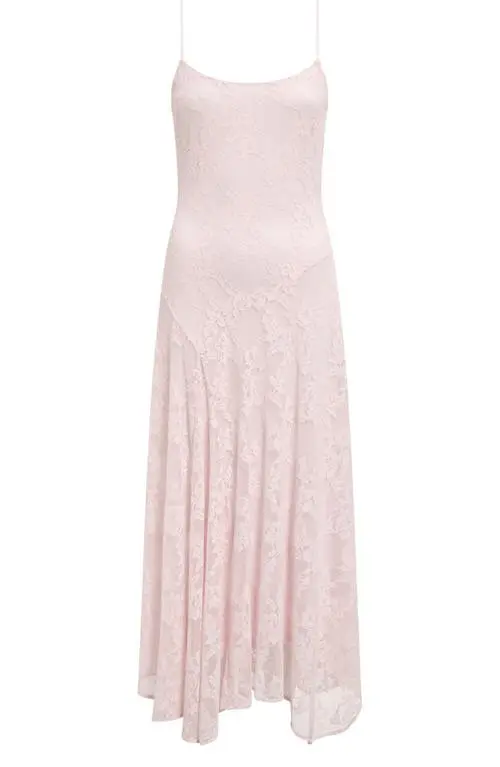 EVER NEW Victoria Lace Midi Dress