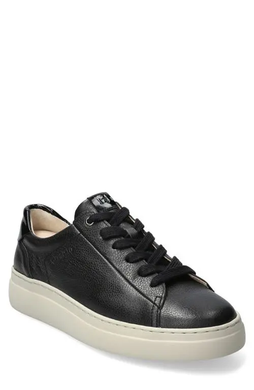 Mephisto Dotty Lace-up Sneaker - Black