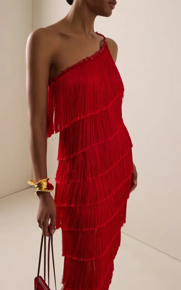FRANCESCA MIRANDA Isidora Fringed Silk-blend Maxi Dress