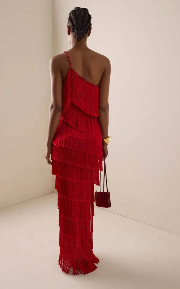 FRANCESCA MIRANDA Isidora Fringed Silk-blend Maxi Dress
