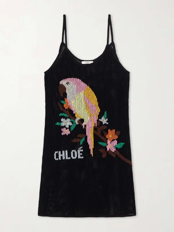 Chloé Embroidered Crocheted Cotton Mini Dress