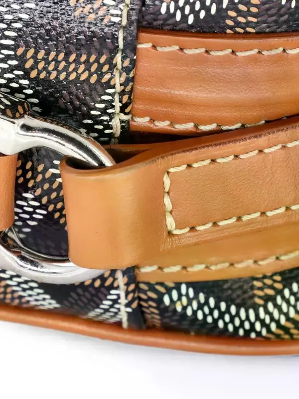 Goyard Cap Vert Bag In Printed Coated Canvas