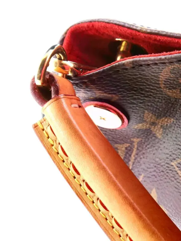 LOUIS VUITTON Monogram Canvas Gaia Hobo Bag