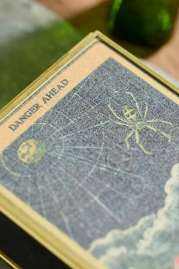TERRAIN Spider Web Divg Box