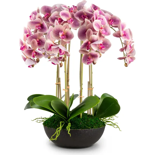 COCOBELLA Abella Realtouch Orchid Arrangement - Periwinkle