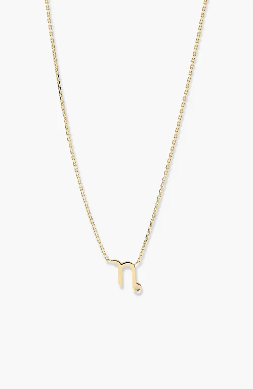 Mejuri Zodiac Sign Necklace - Capricorn