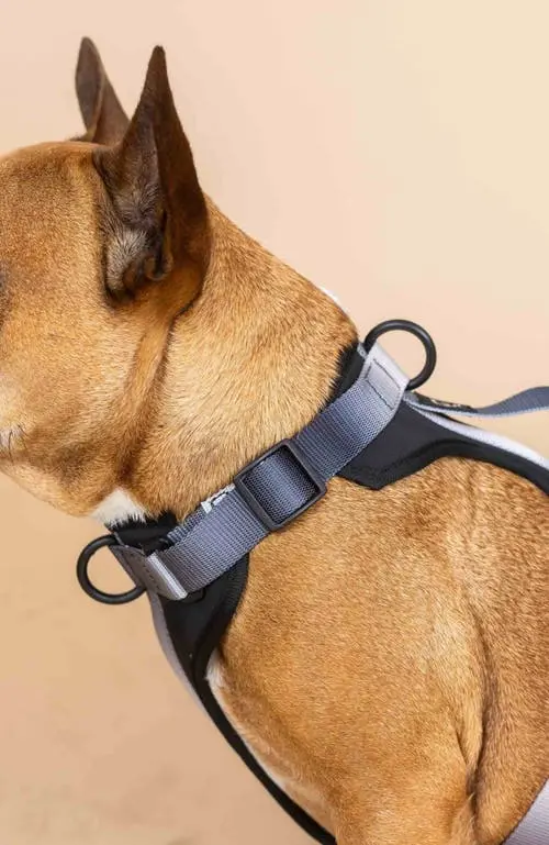 PINK PAPYRUS Dog Harness