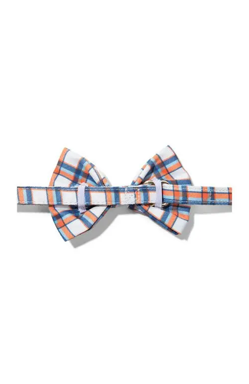 PINK PAPYRUS Bow Tie