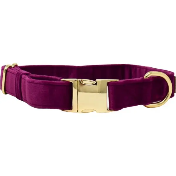 PINK PAPYRUS Dog Collar