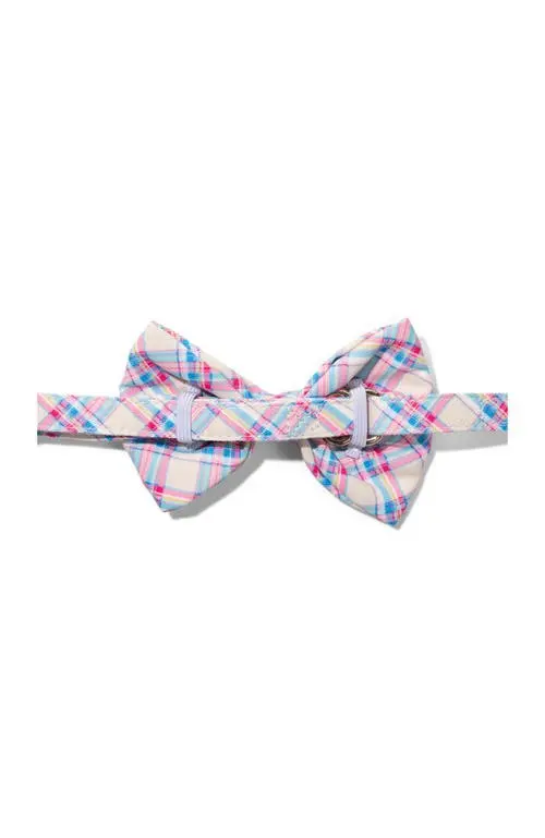 PINK PAPYRUS Bow Tie