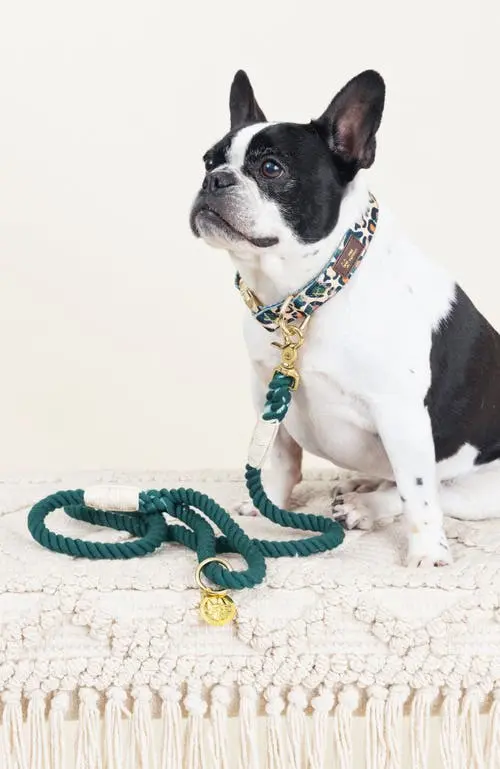 PINK PAPYRUS Sam Rope Dog Leash