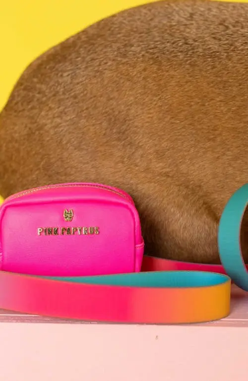 PINK PAPYRUS Dog Waste Bag Holder And Treat Pouch With Card Slot