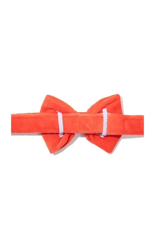 PINK PAPYRUS Bow Tie