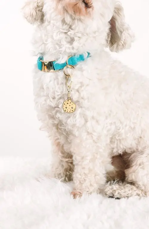 PINK PAPYRUS Pet Collar Charm