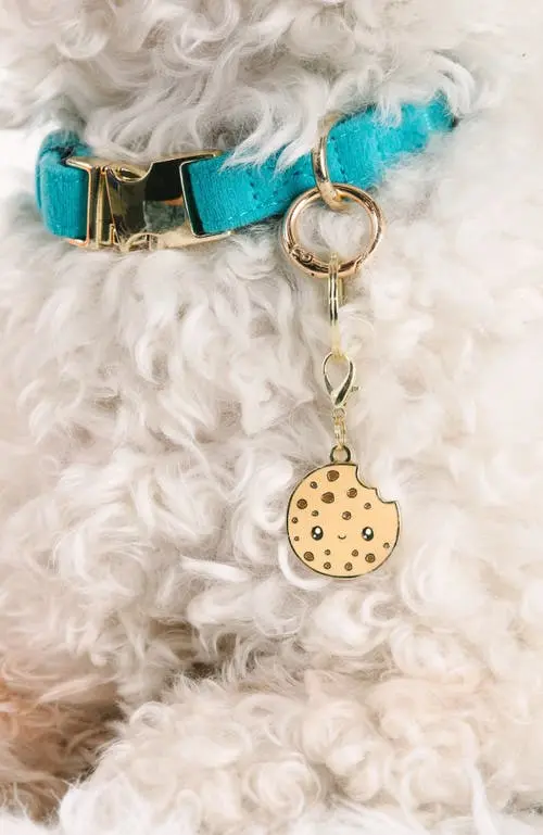 PINK PAPYRUS Pet Collar Charm