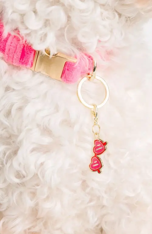 PINK PAPYRUS Pet Collar Charm