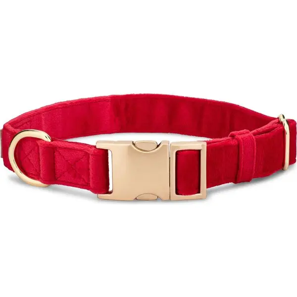 PINK PAPYRUS Dog Collar