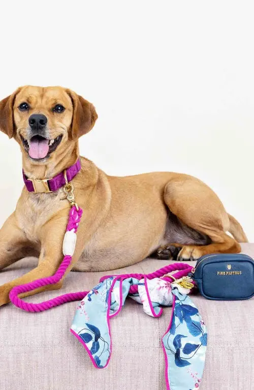 PINK PAPYRUS Vegan Leather Dog Waste Bag And Treat Pouch