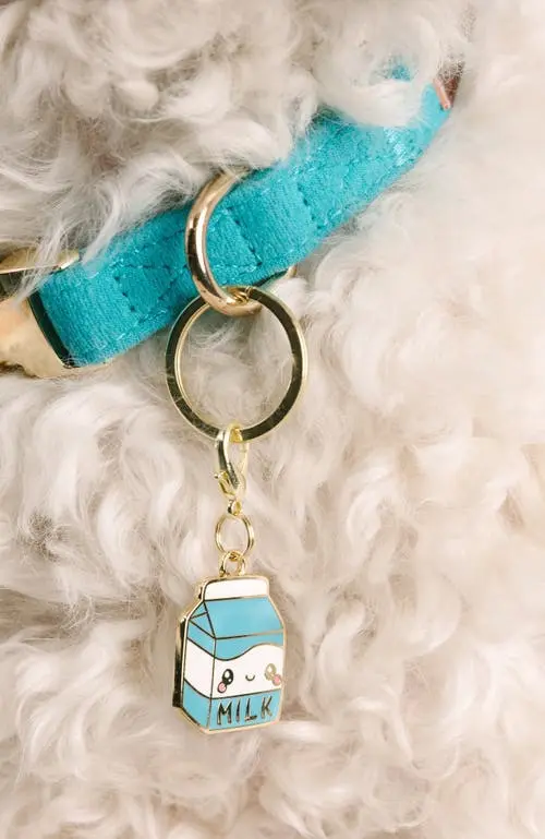 PINK PAPYRUS Pet Collar Charm