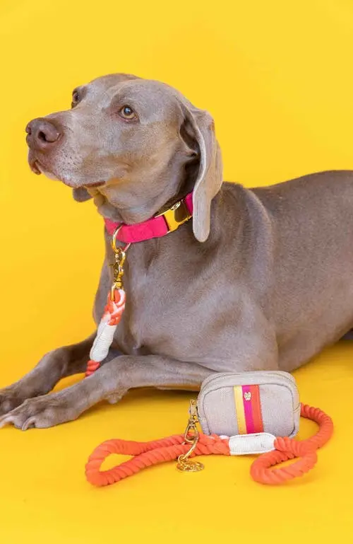 PINK PAPYRUS Dog Waste Bag And Treat Pouch With Gold Tone Hardware