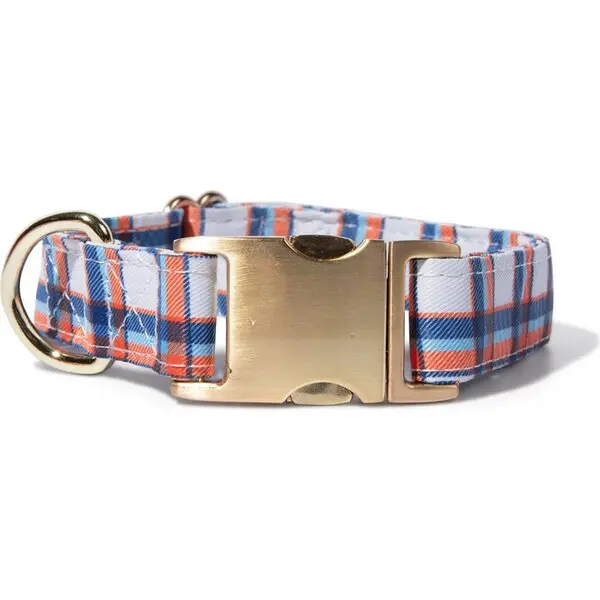 PINK PAPYRUS Dog Collar