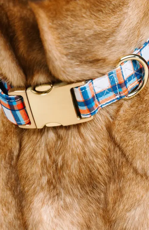 PINK PAPYRUS Dog Collar