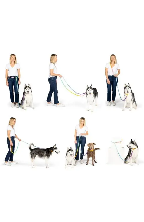 PINK PAPYRUS Pixie Hands-free Rope Dog Leash