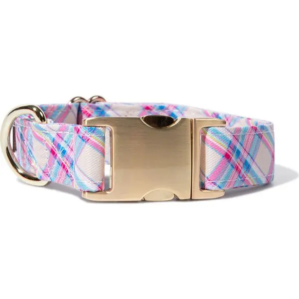PINK PAPYRUS Dog Collar