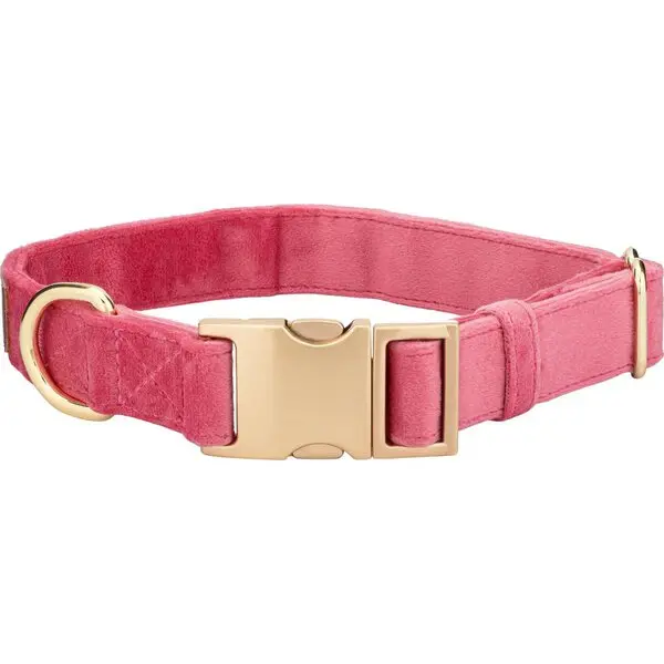 PINK PAPYRUS Dog Collar