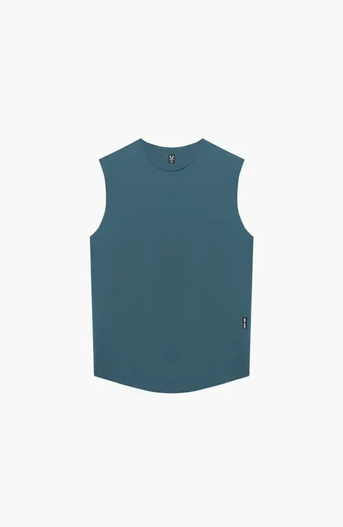 ASRV Aerosilver Cutoff Tank - Storm