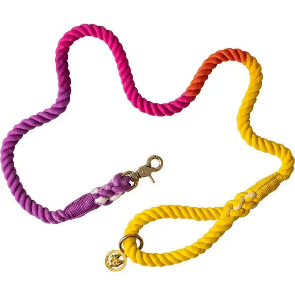 PINK PAPYRUS Roxy Rope Dog Leash