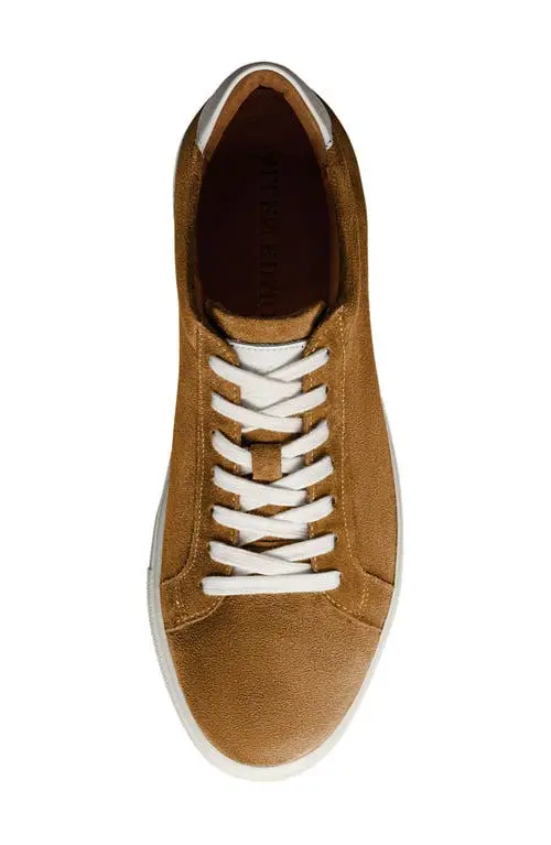Allen Edmonds Courtside Sneaker