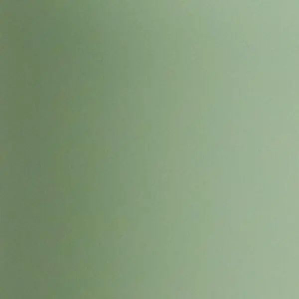 ASOBU Bestie Dinosaur Water Bottle