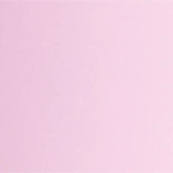 ASOBU Bestie Flamingo Water Bottle