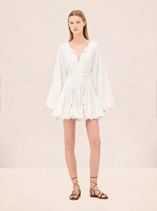 Alexis Palmari Embroidered Mini Dress