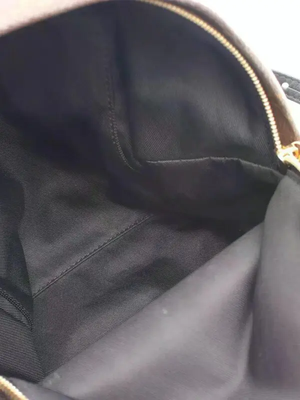 LOUIS VUITTON Palm Springs Backpack - Brown