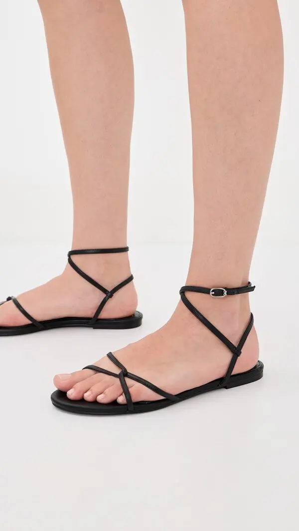Sam Edelman Ellina Gladiator Strappy Sandals