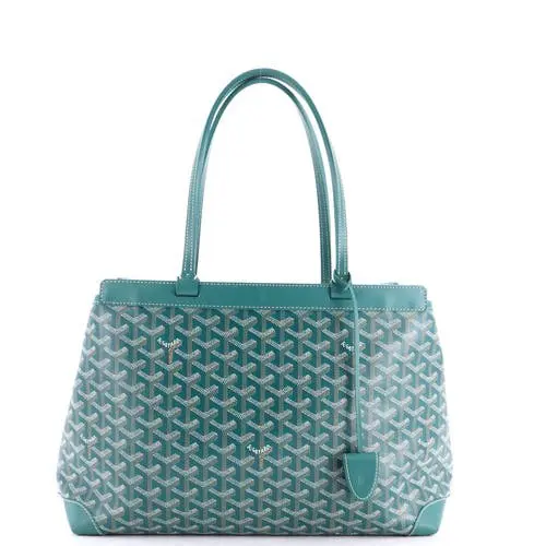 Goyard Bellechasse Bag Coated Canvas Pm - Green