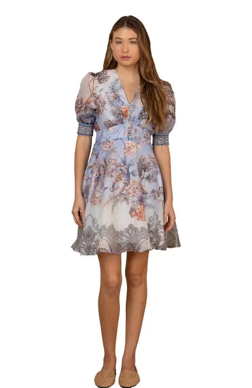 Hale Bob Kaeli Linen Organza Dress - Blue