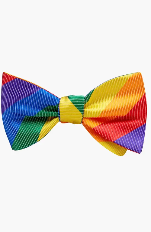 BEAU TIES OF VERMONT Pride Lane Bow Tie - Freestyle
