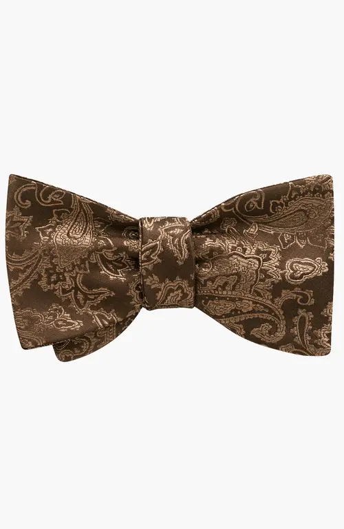 BEAU TIES OF VERMONT Dvorkin Bow Tie - Brown
