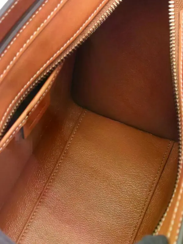 Celine 2000-2026 Nano Luggage Canvas Satchel