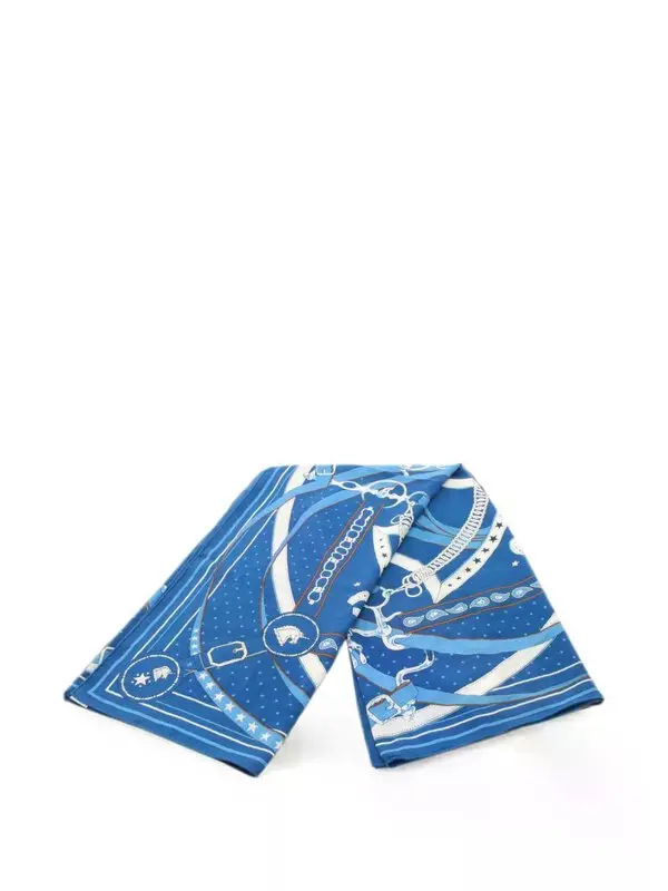 Hermès 2010s La Promenade Du Matin Scarf - Blue