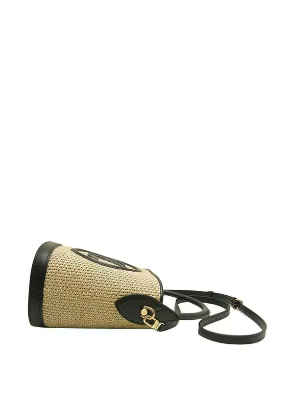 LOUIS VUITTON 2021-2026 Raffia Petit Bucket Satchel