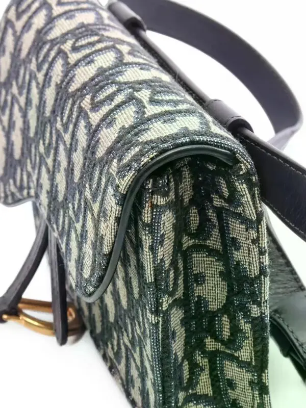 Dior Monogram Belt Bag